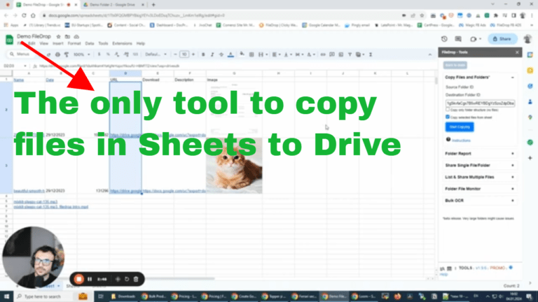 Copy Files Organized in Google Sheets to Any Google Drive Folder - FileDrop