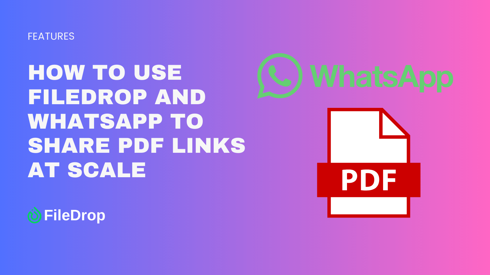 How To Use FileDrop and WhatsApp to Share PDF Links at Scale - FileDrop